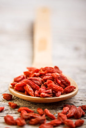Goji Berries – Super Fruit of the World | Elle Republic