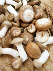 Pasta mit Pilz-Ragout | Elle Republic