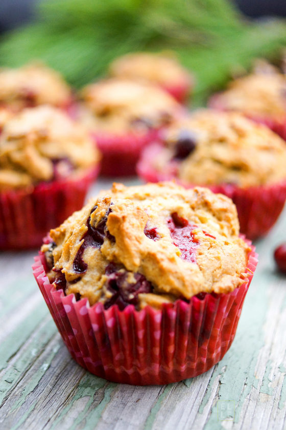 Fresh Cranberry Muffins | Recipe | Elle Republic