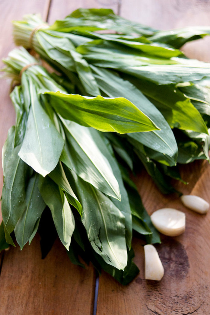 Wild Garlic Risotto with Goat's Cheese | Recipe | Elle Republic