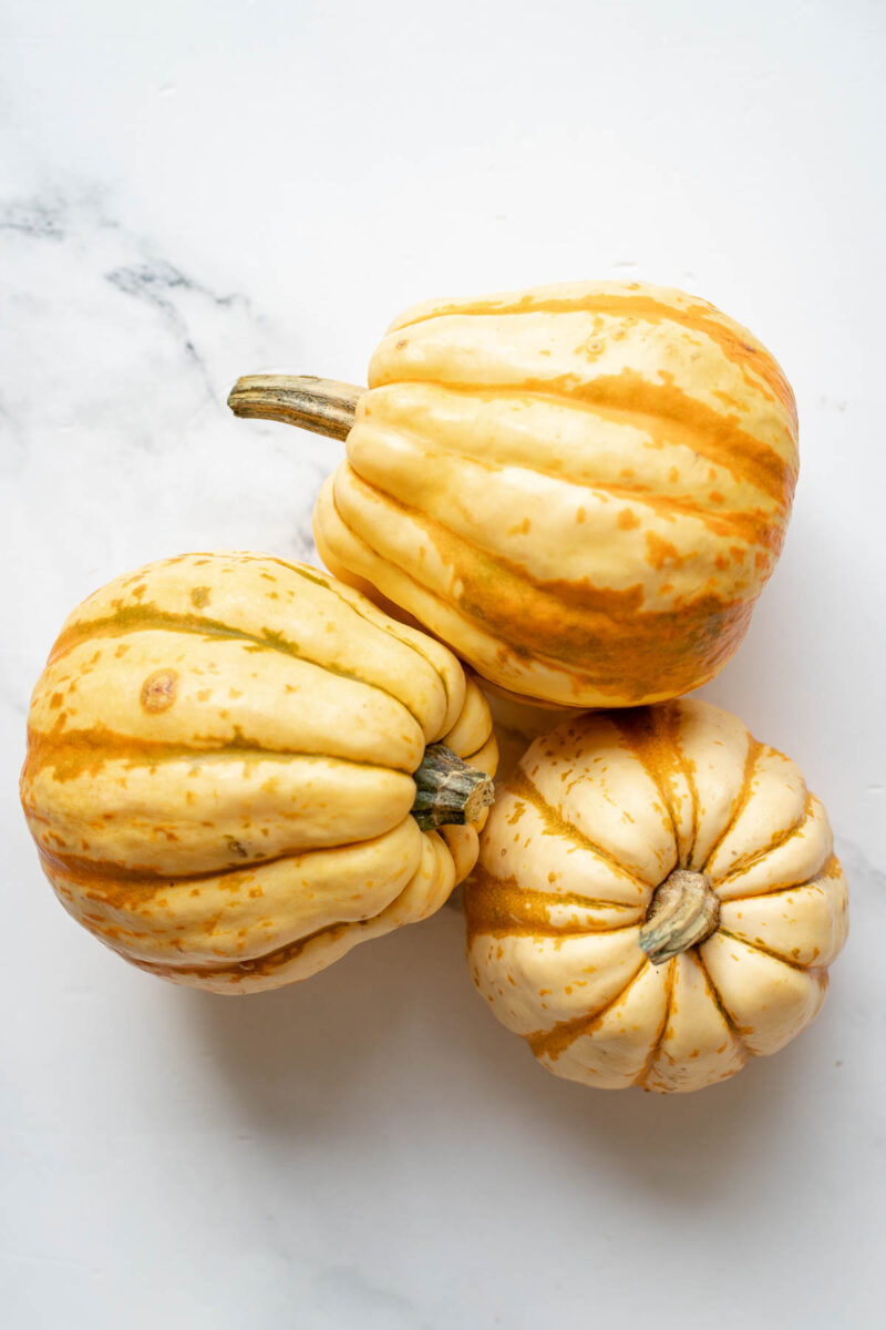 Roasted Delicata Squash (Sweet Dumpling) | Elle Republic